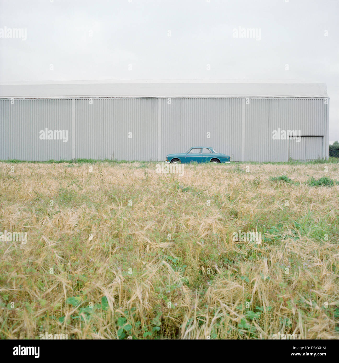 Volvo amazon parked by a field, Sweden Stock Photo - Alamy