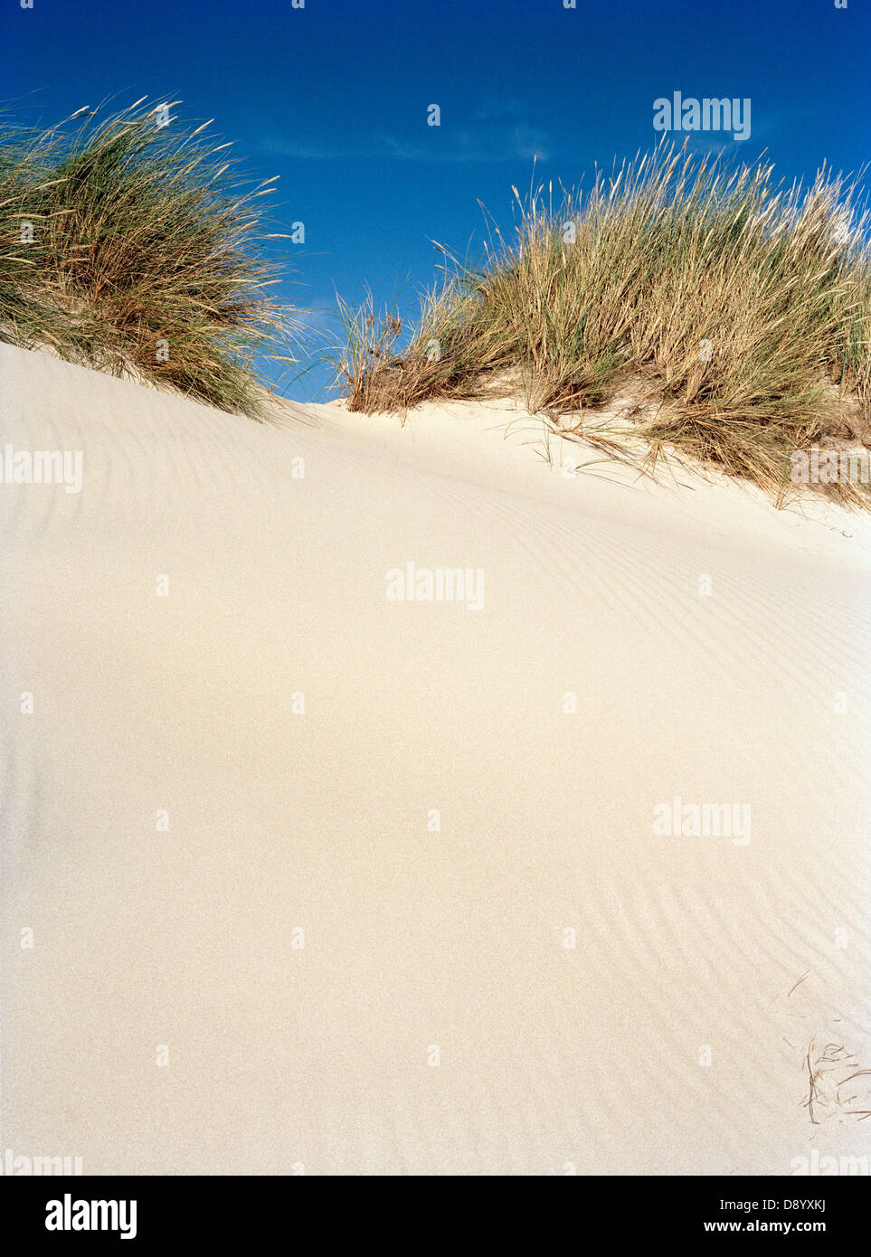 A sand dune Stock Photo - Alamy