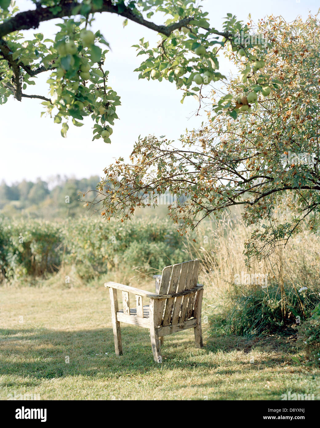 Left on chair hi-res stock photography and images - Alamy