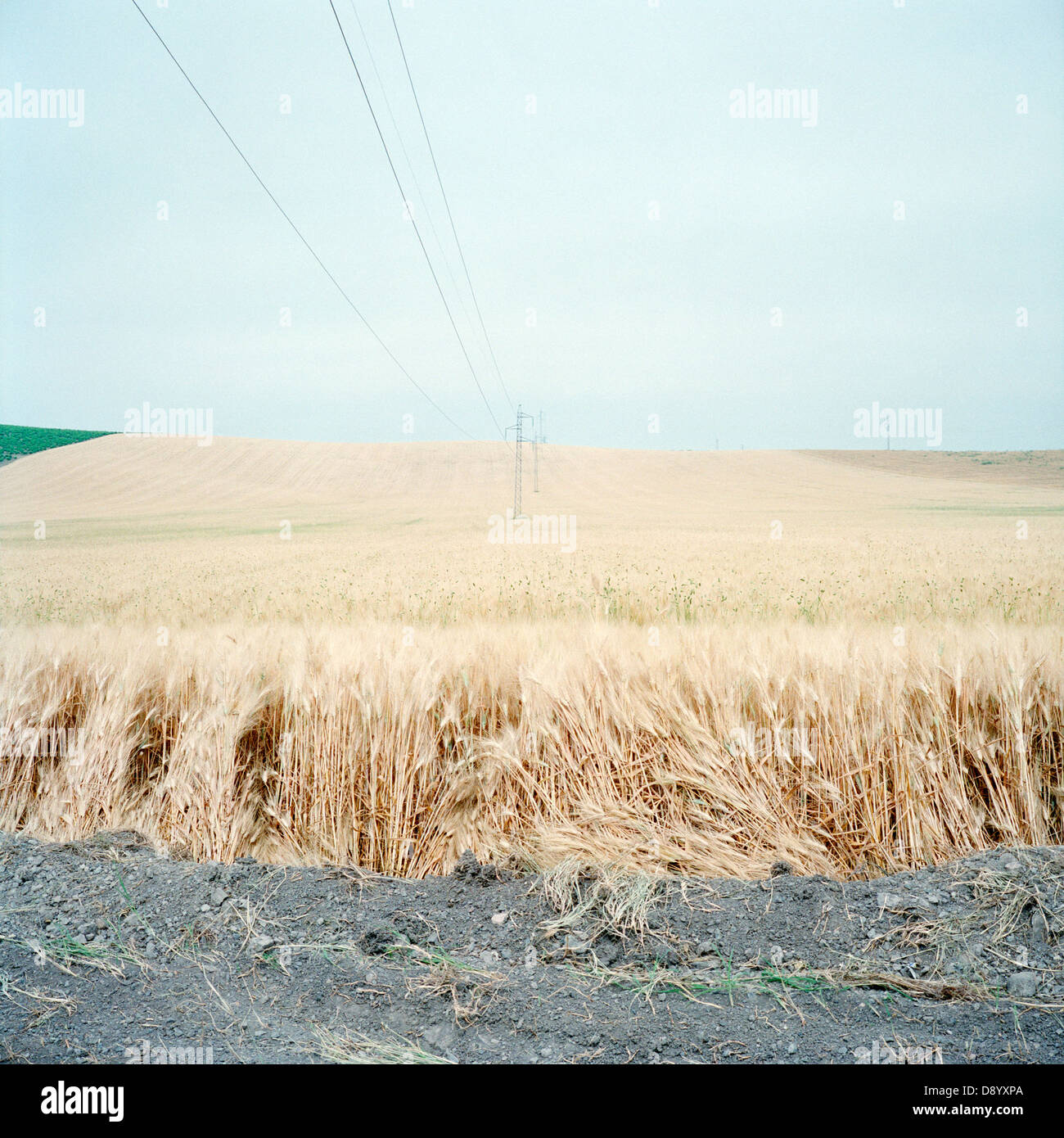 Field spain hi-res stock photography and images - Alamy