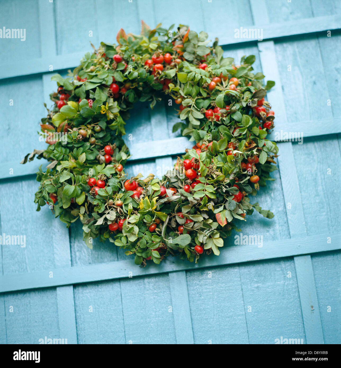 Berry sprigs hi-res stock photography and images - Alamy