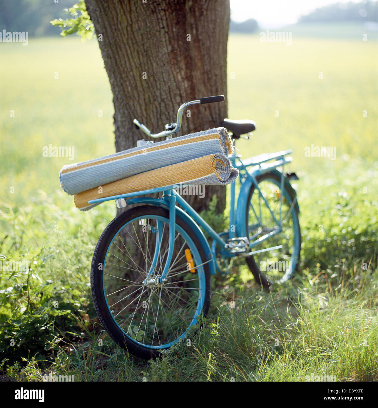 A bicycle carrying rag-mats leaning against a tree Stock Photo - Alamy
