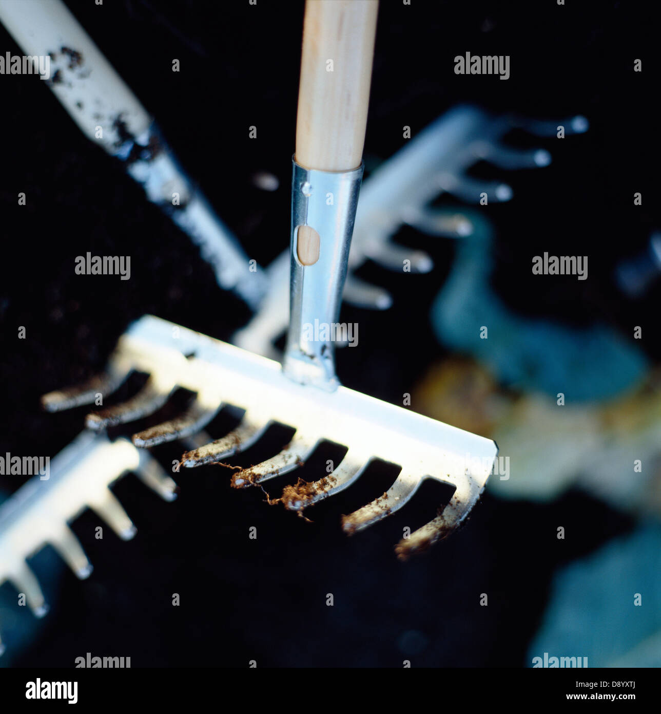 A pair of rakes Stock Photo - Alamy
