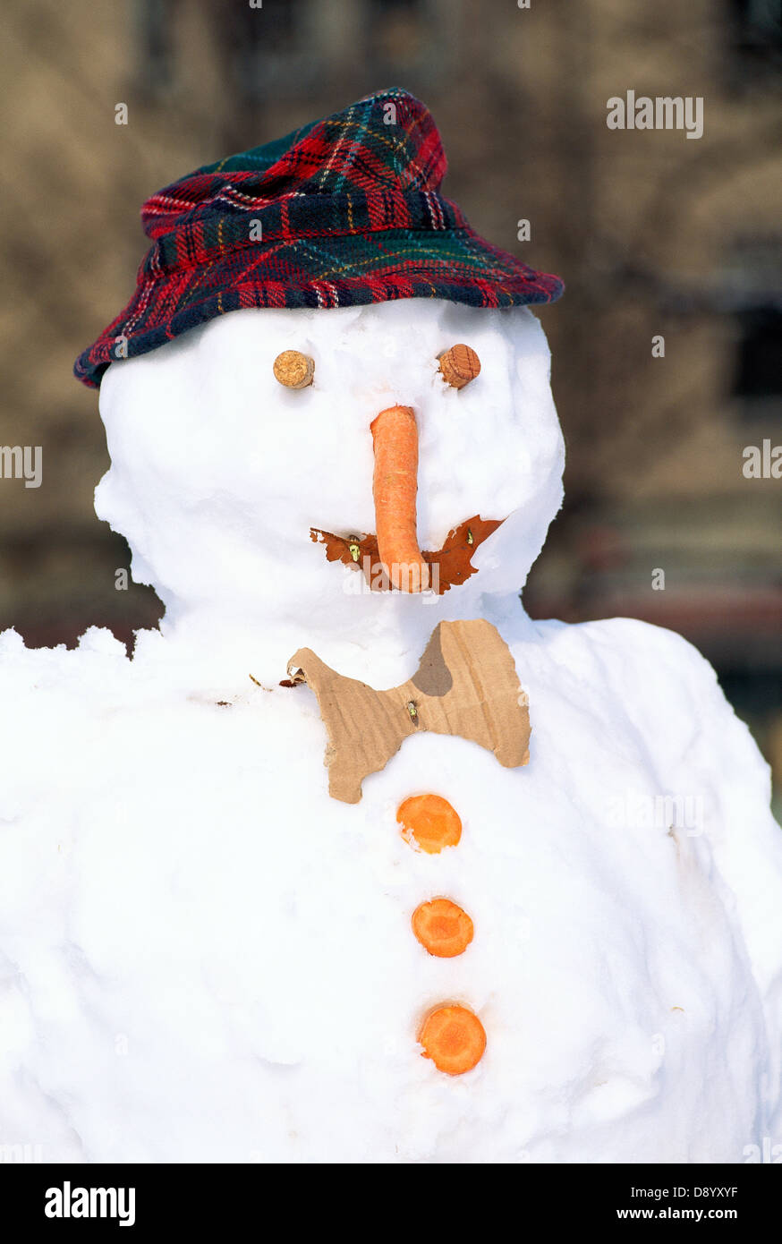 A snowman wearing a hat Stock Photo - Alamy