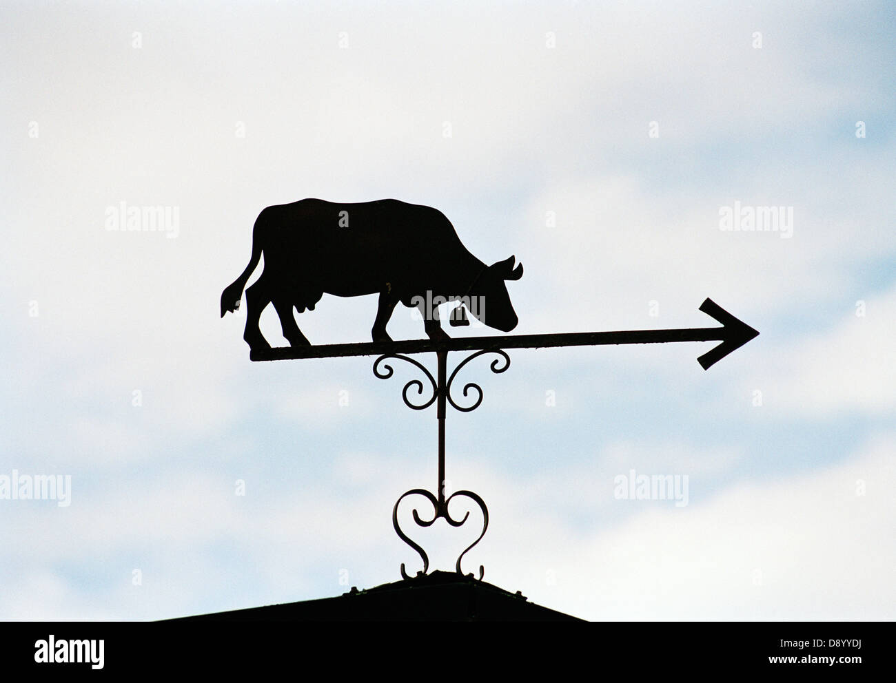 A weather vane with a cow Stock Photo - Alamy