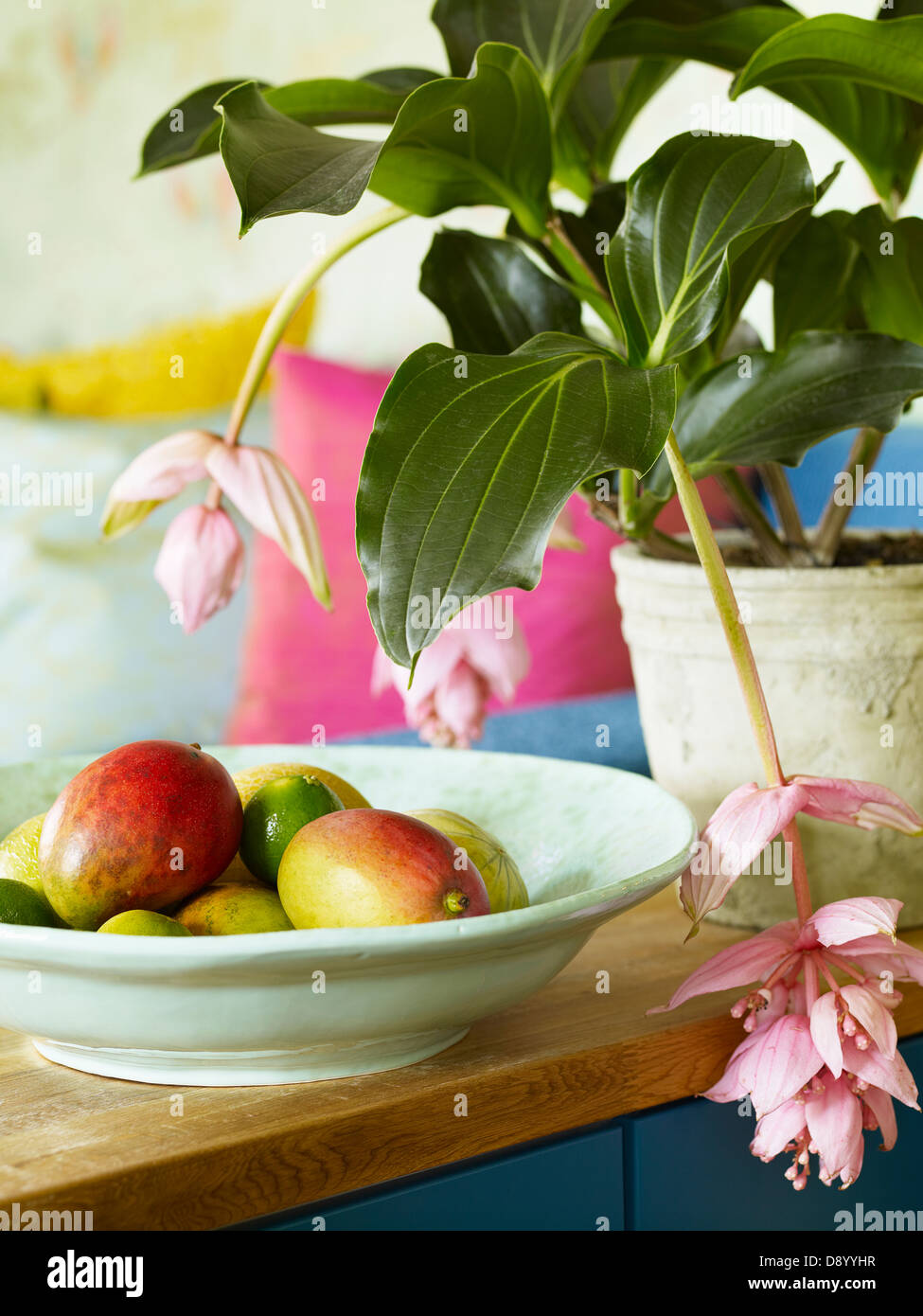 Fruits on a plate, Sweden Stock Photo - Alamy