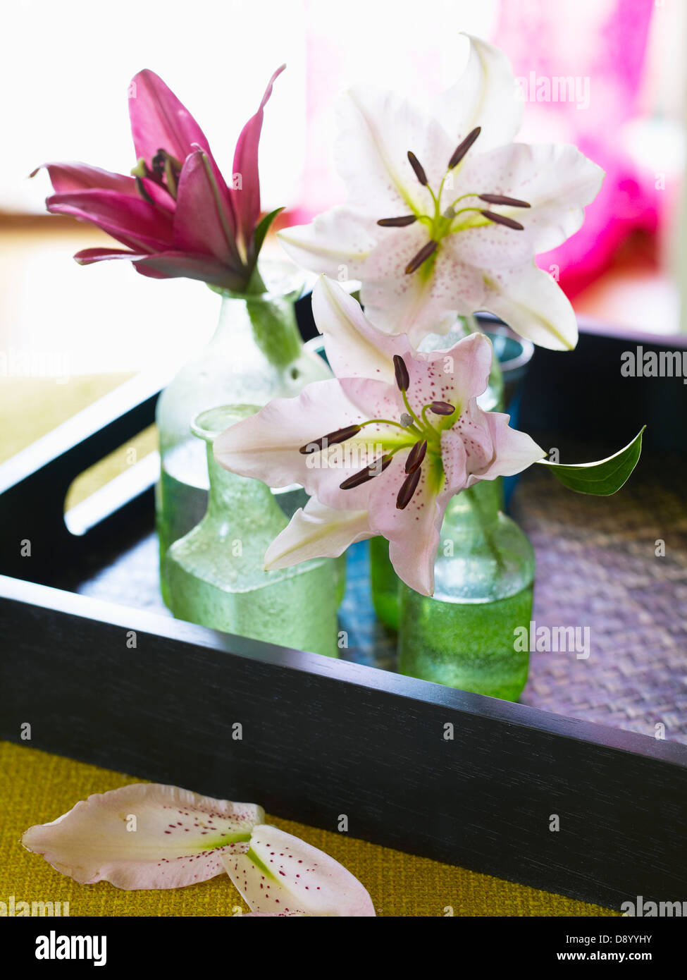 Flowers in a vase, Close-up Stock Photo - Alamy