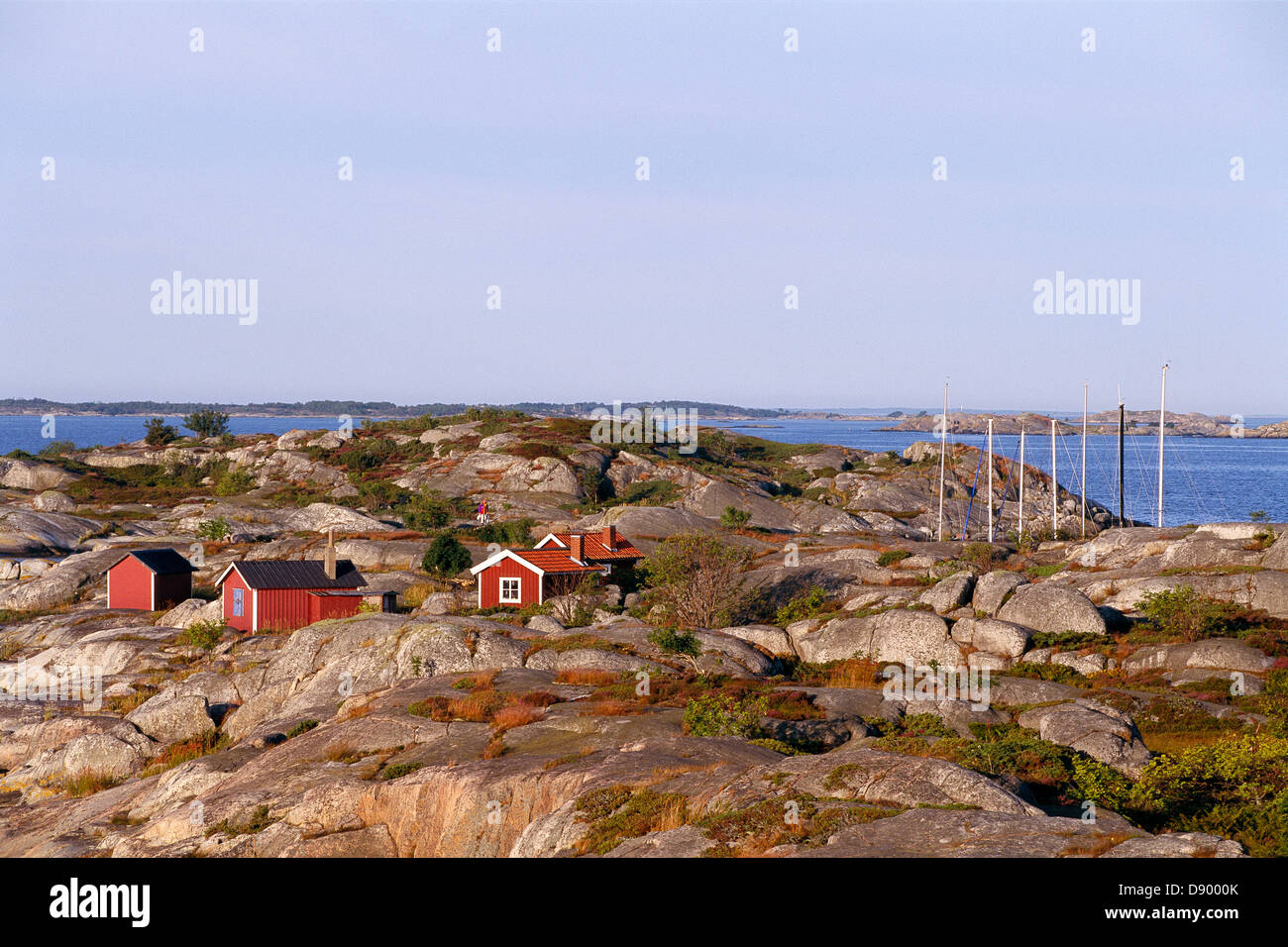 Nassa hi-res stock photography and images - Alamy