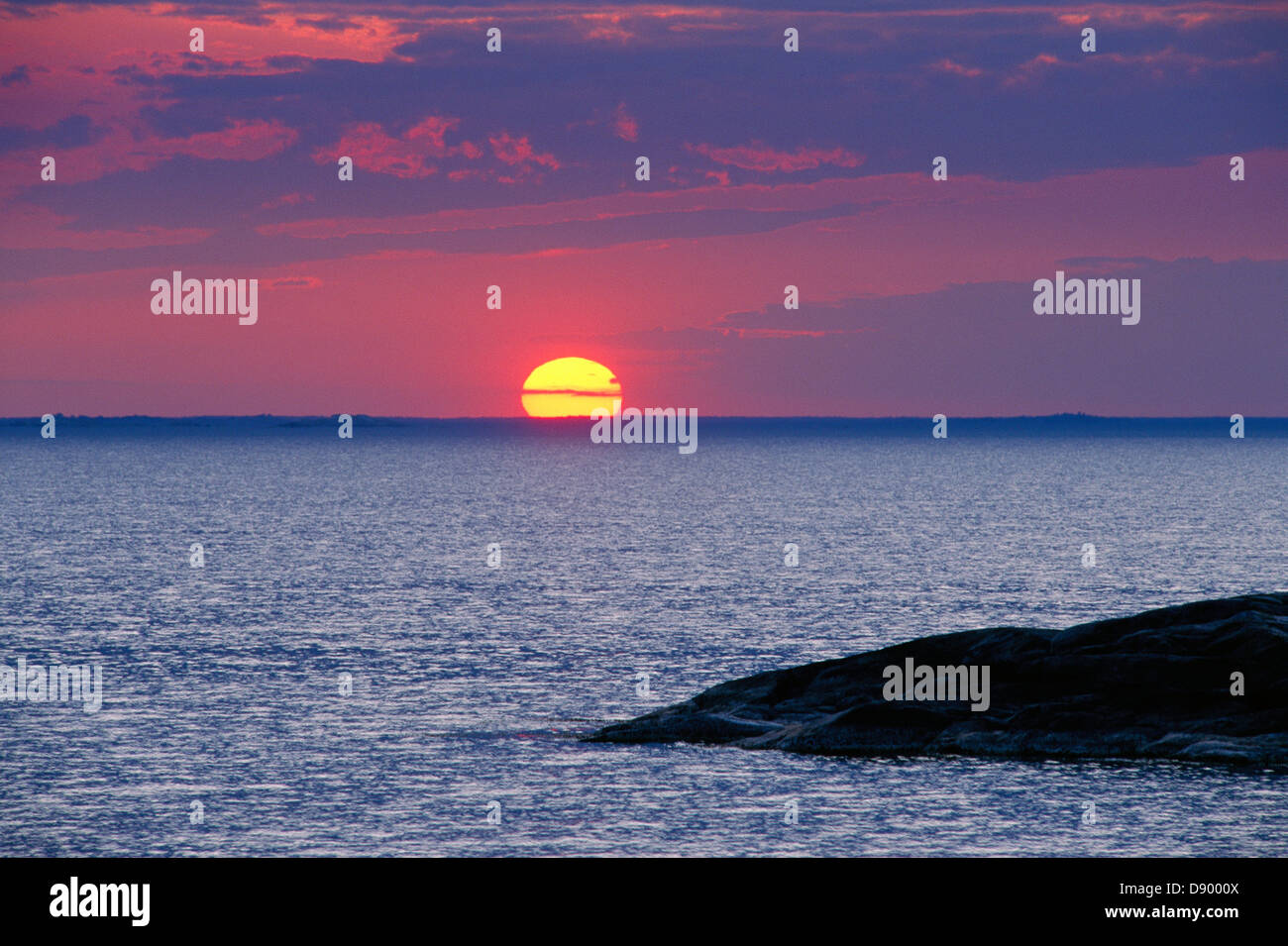 Nassa hi-res stock photography and images - Alamy