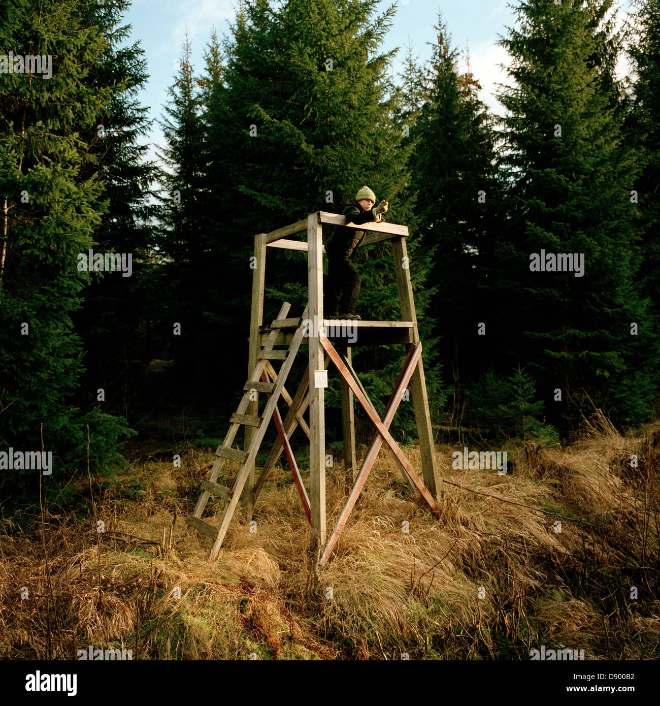 Hunting tower spruce forest hi-res stock photography and images - Alamy