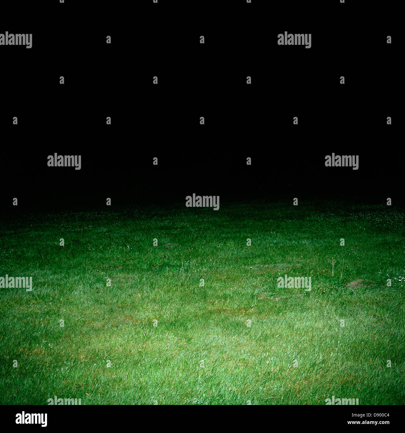 A green lawn, Germany Stock Photo - Alamy
