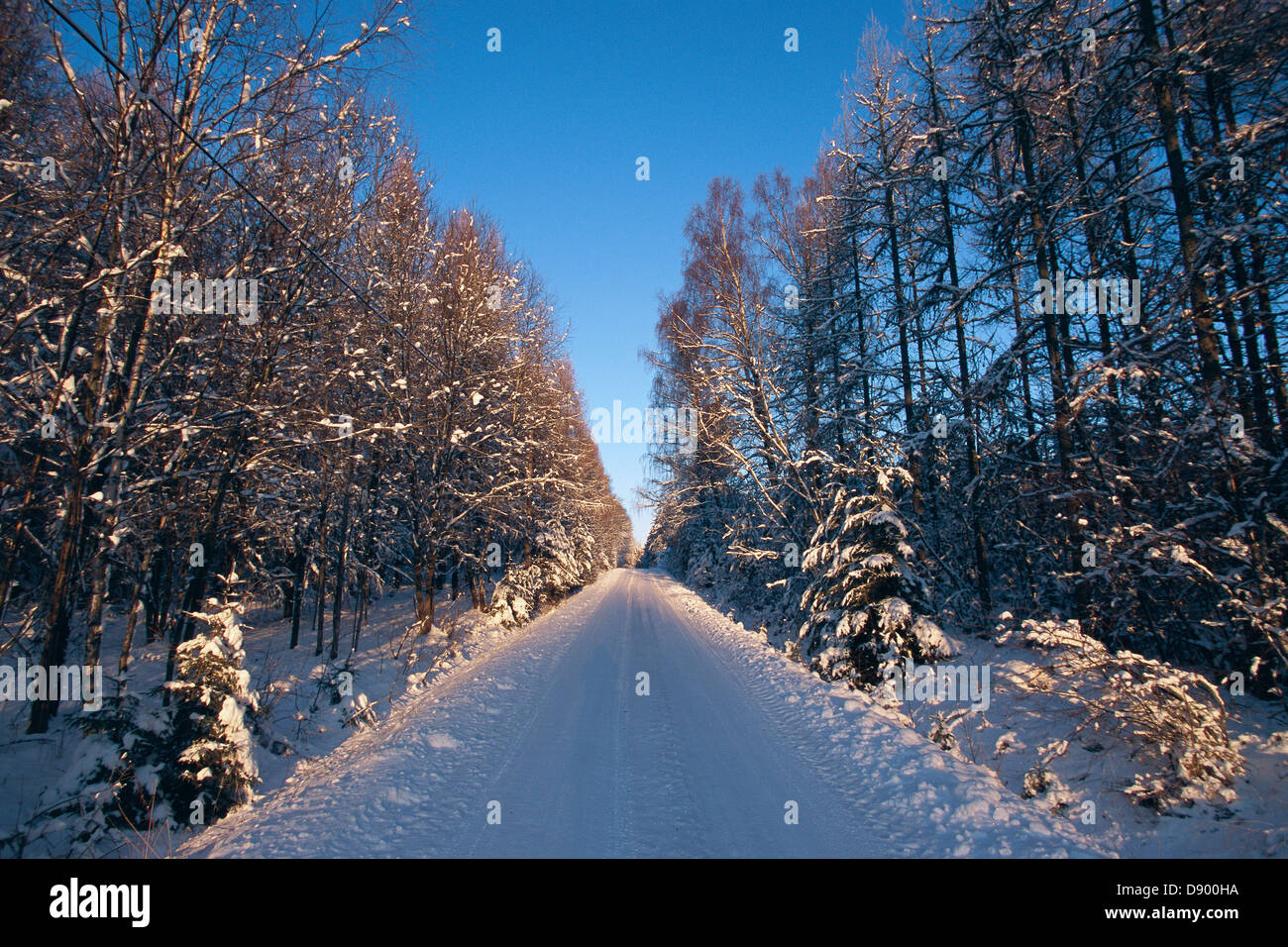 Snow covered road in winter landscape Stock Photo - Alamy