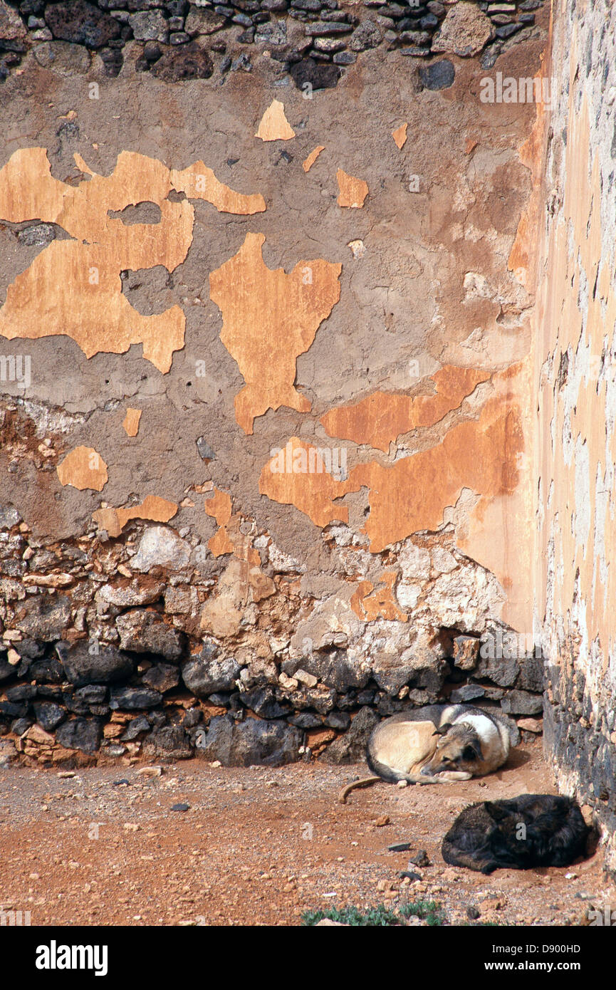 A wall in decay Stock Photo - Alamy