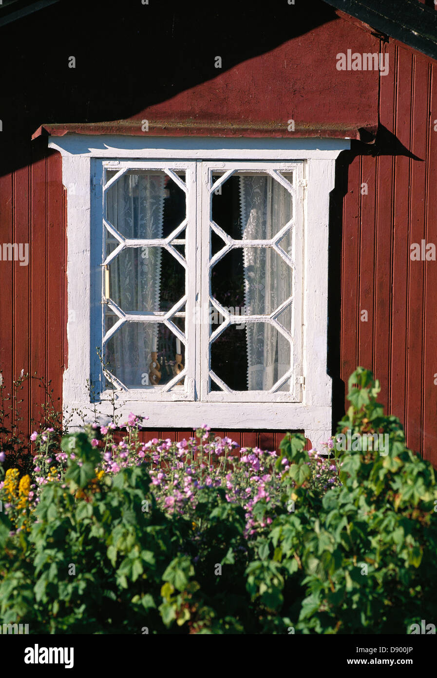 Flowerbed beneth a window Stock Photo - Alamy