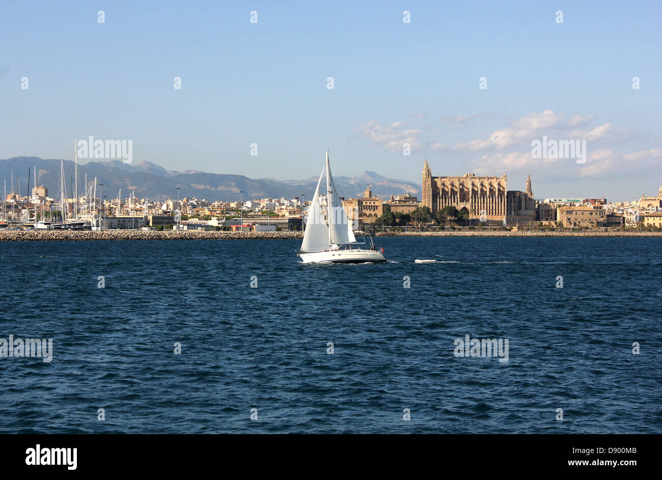 Sailing yacht returning to port / marina past Palma historic gothic ...
