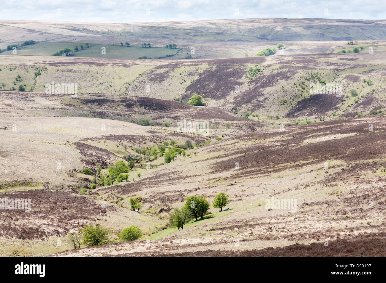 Rolling hills. British countryside, Exmoor, England Stock Photo - Alamy