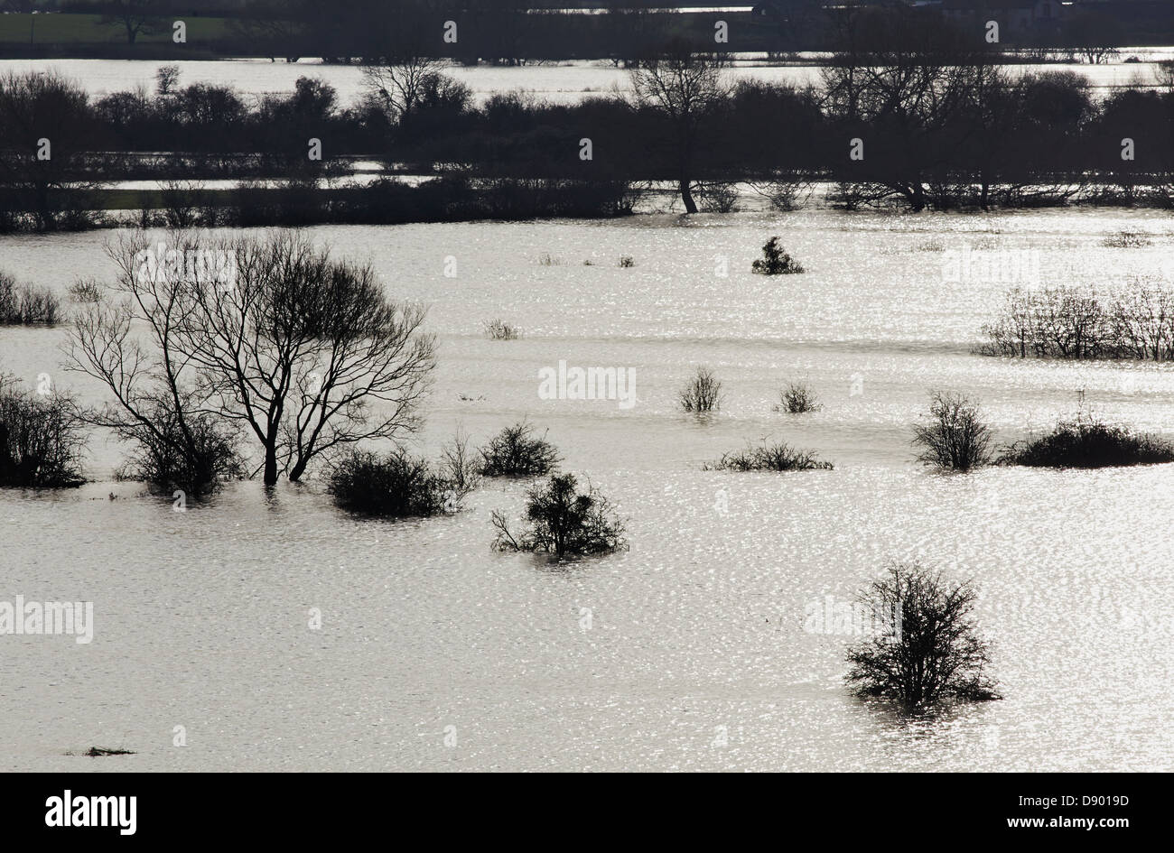 Winter flooding after heavy rain along the River Parrett, on the ...