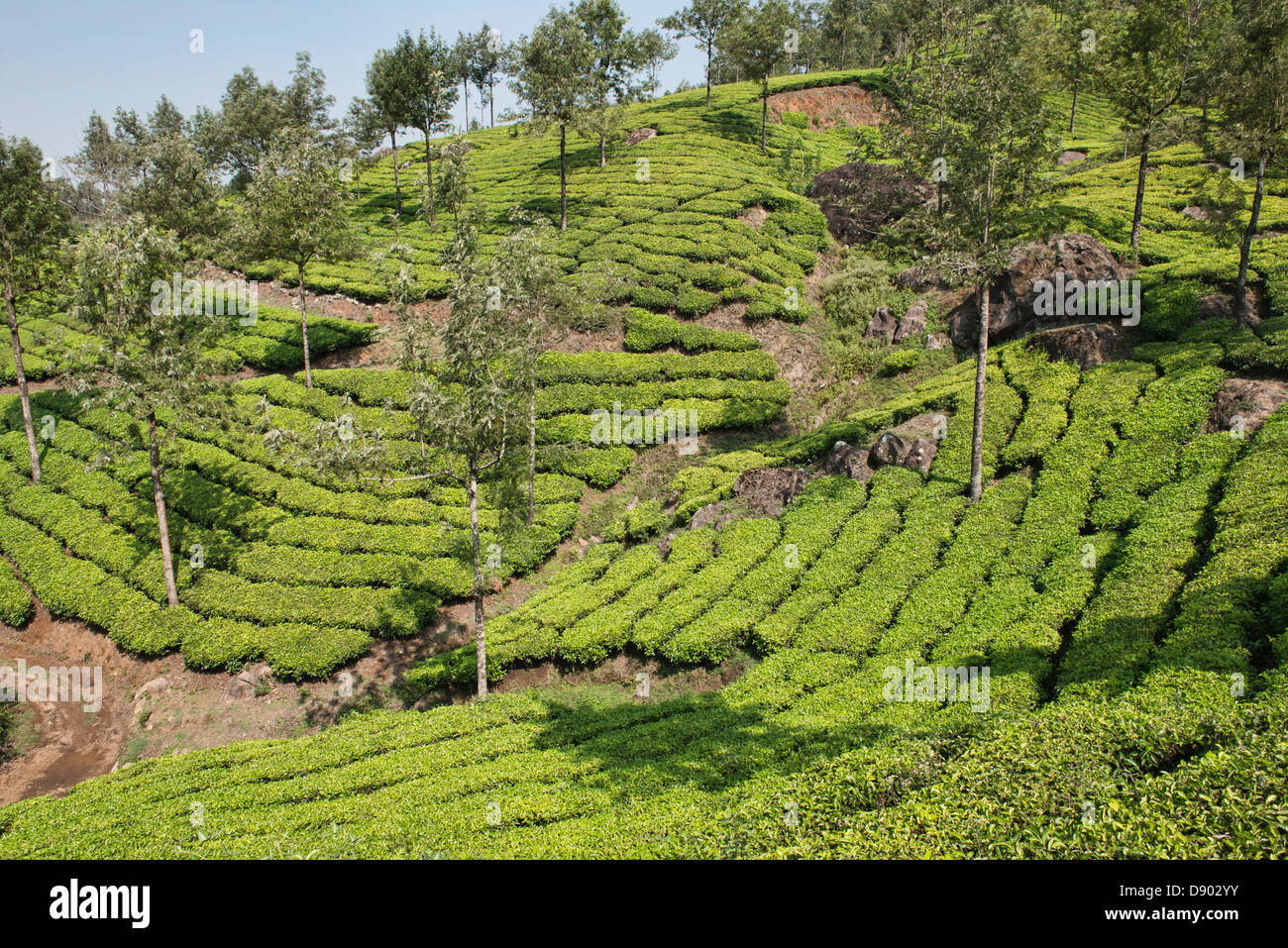 Kerala greenery hi-res stock photography and images - Alamy