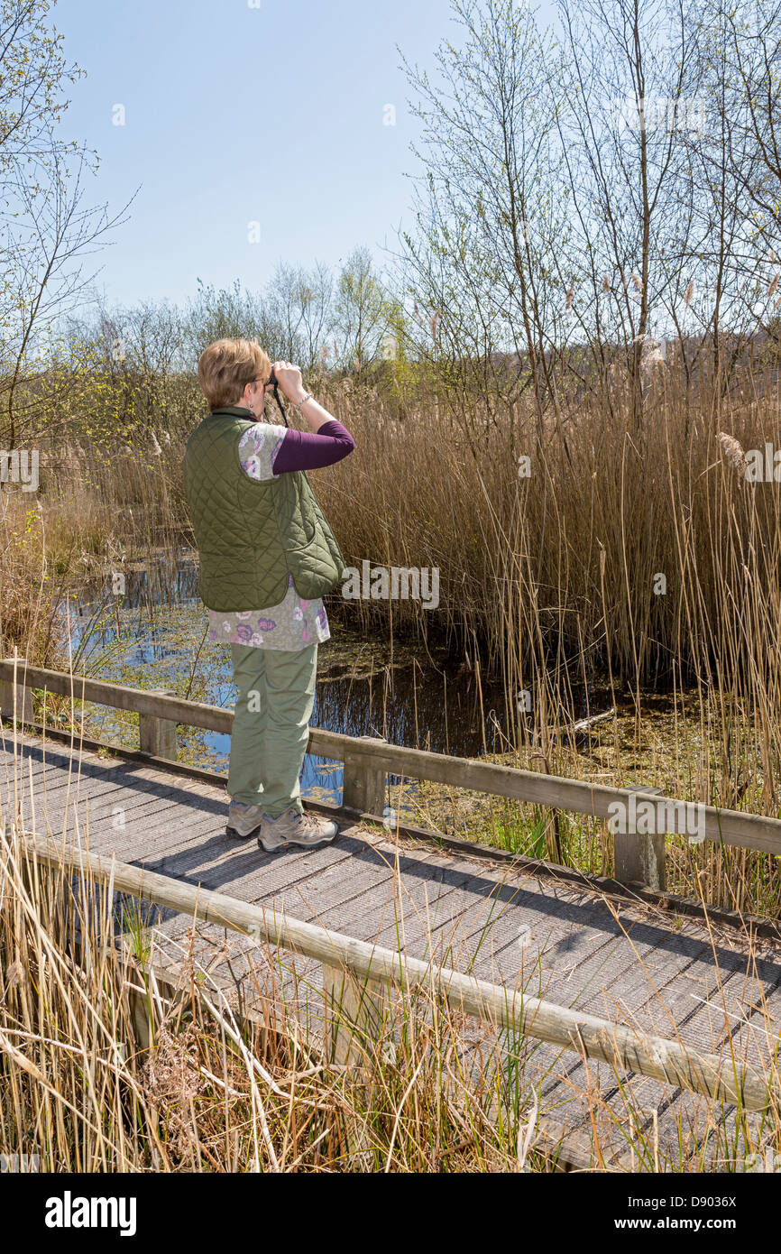 Woman female birdwatching twitcher hi-res stock photography and images ...
