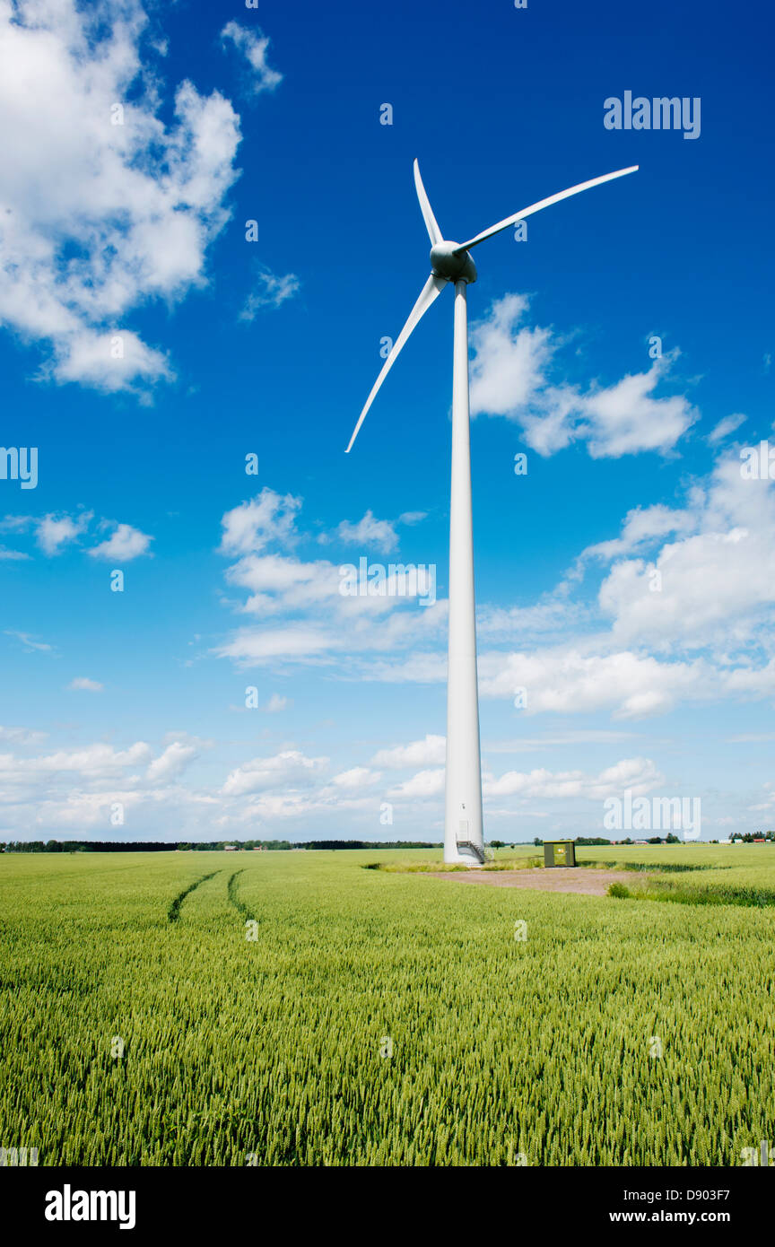 Wind turbine field grain hi-res stock photography and images - Alamy