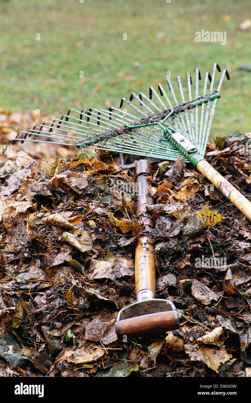 Rake and leaves in a garden Stock Photo - Alamy