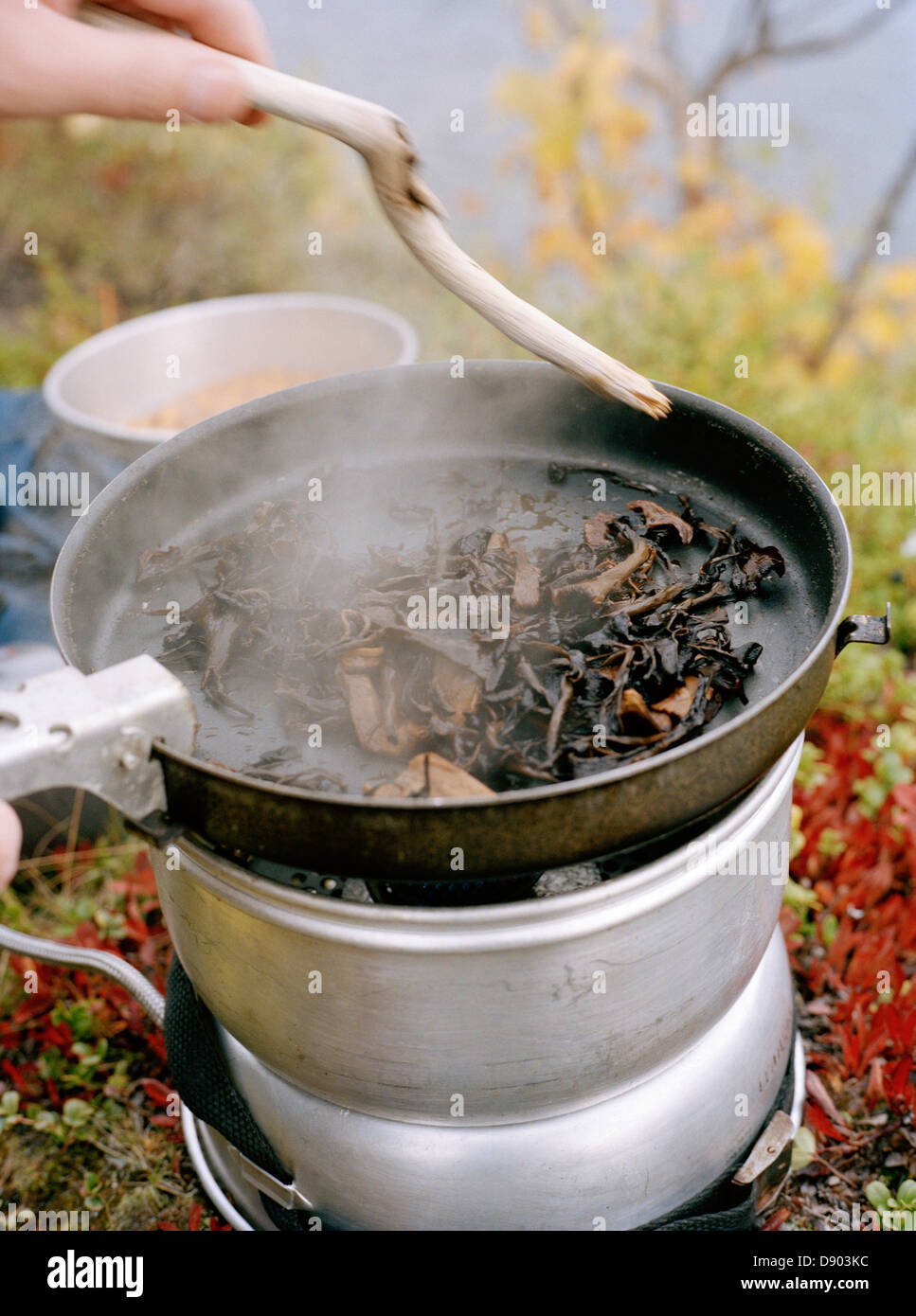 Cooking food outside Stock Photo - Alamy