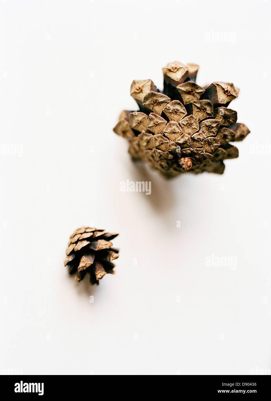 Big Cone Cut Out Stock Images & Pictures - Alamy