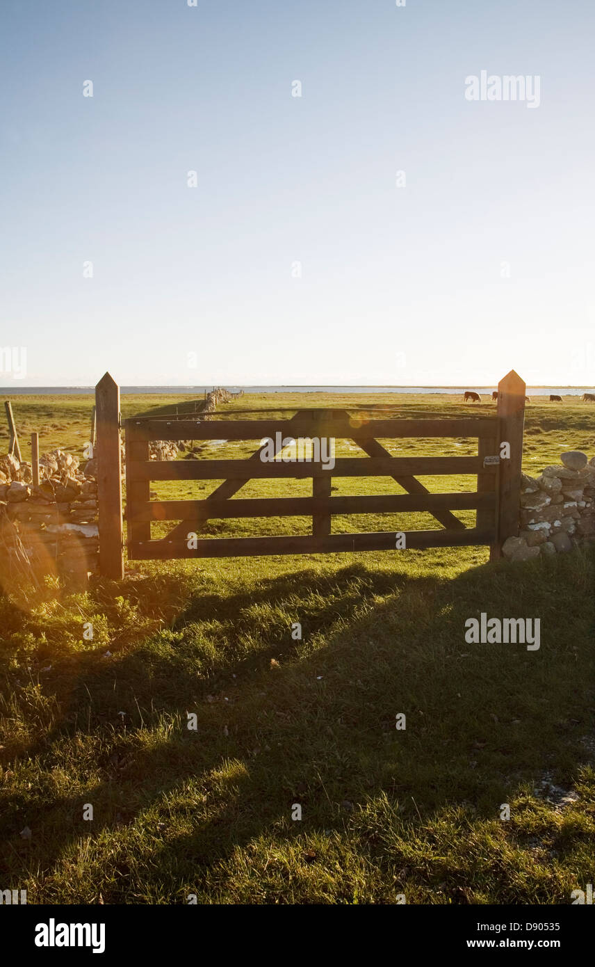 Gate in to a pasture Stock Photo - Alamy