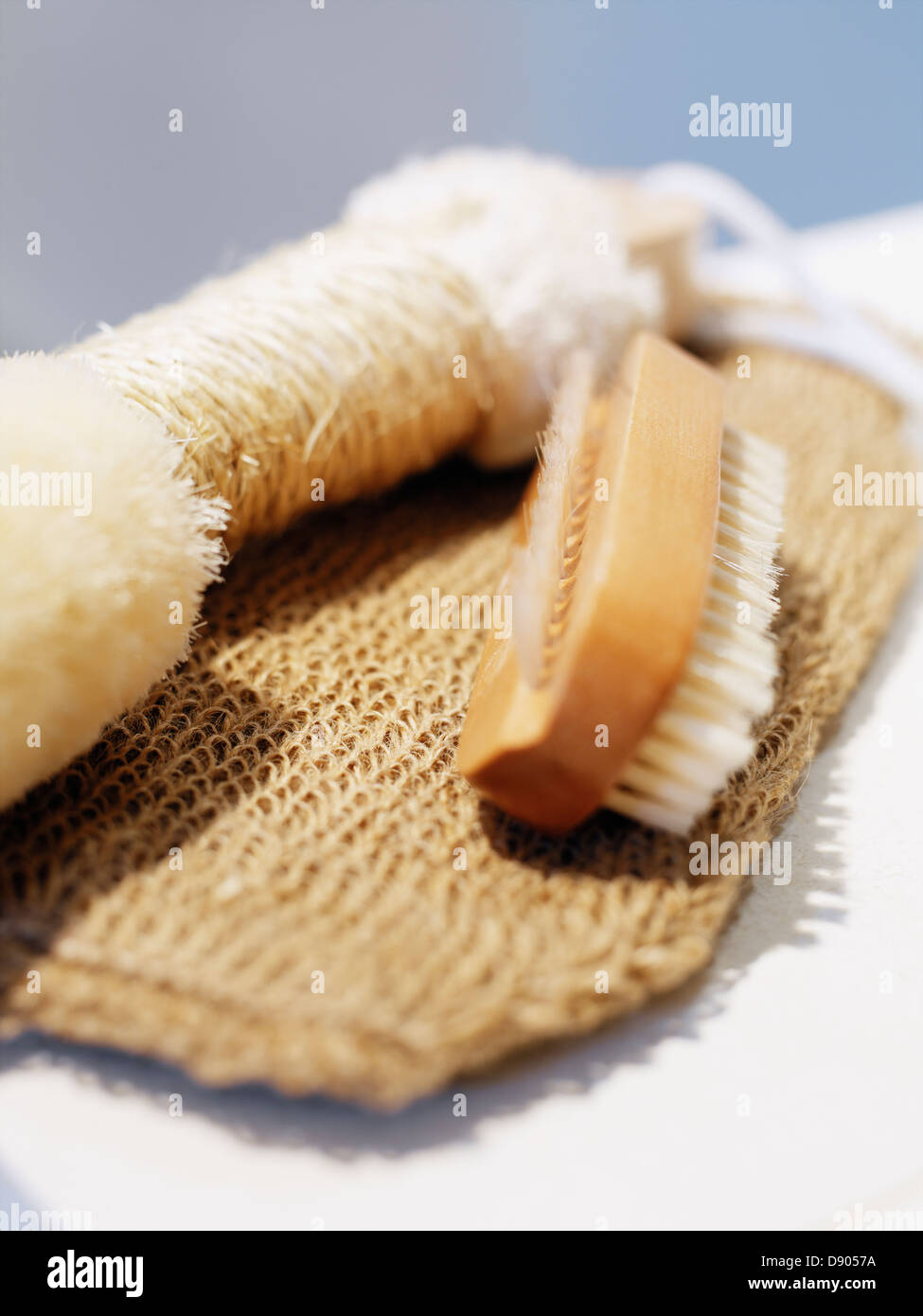 Scrub brush, close-up Stock Photo - Alamy