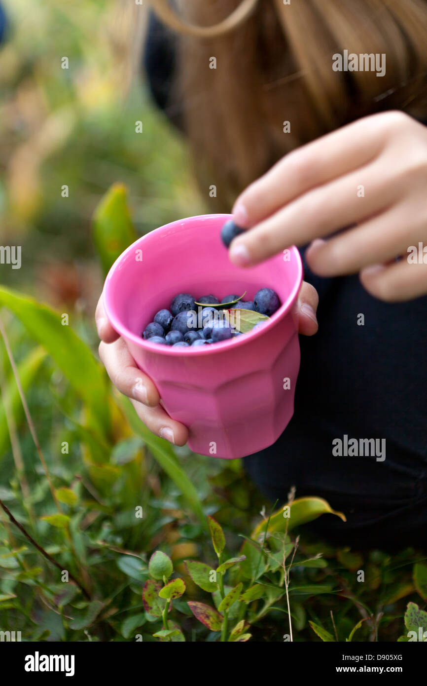 Girl picking blueberries Stock Photo - Alamy