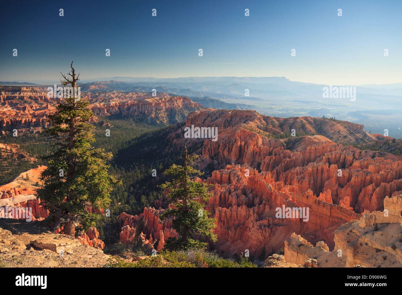 USA, Utah, Bryce Canyon National Park, Bryce Point Stock Photo - Alamy