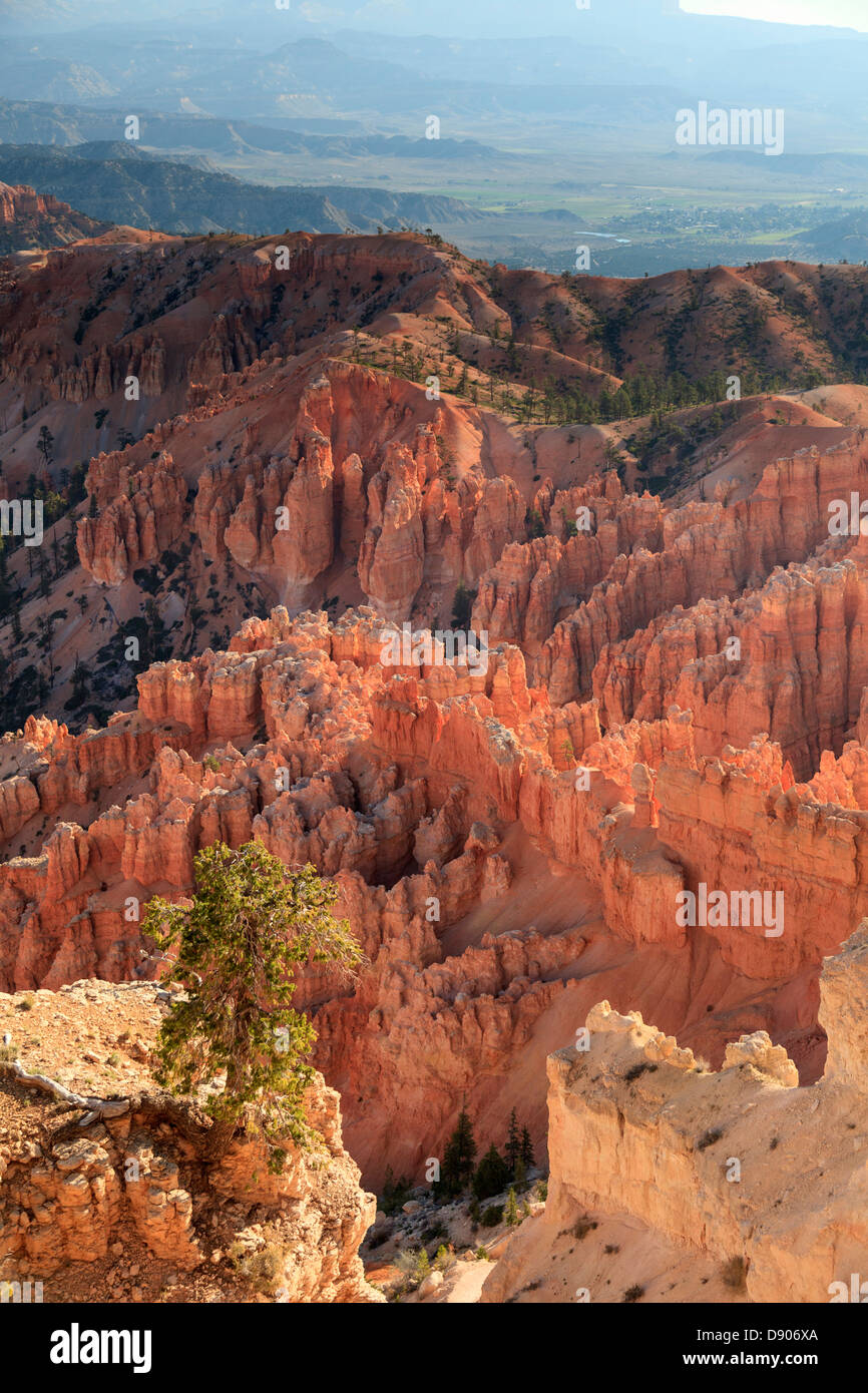 USA, Utah, Bryce Canyon National Park, Bryce Point Stock Photo - Alamy