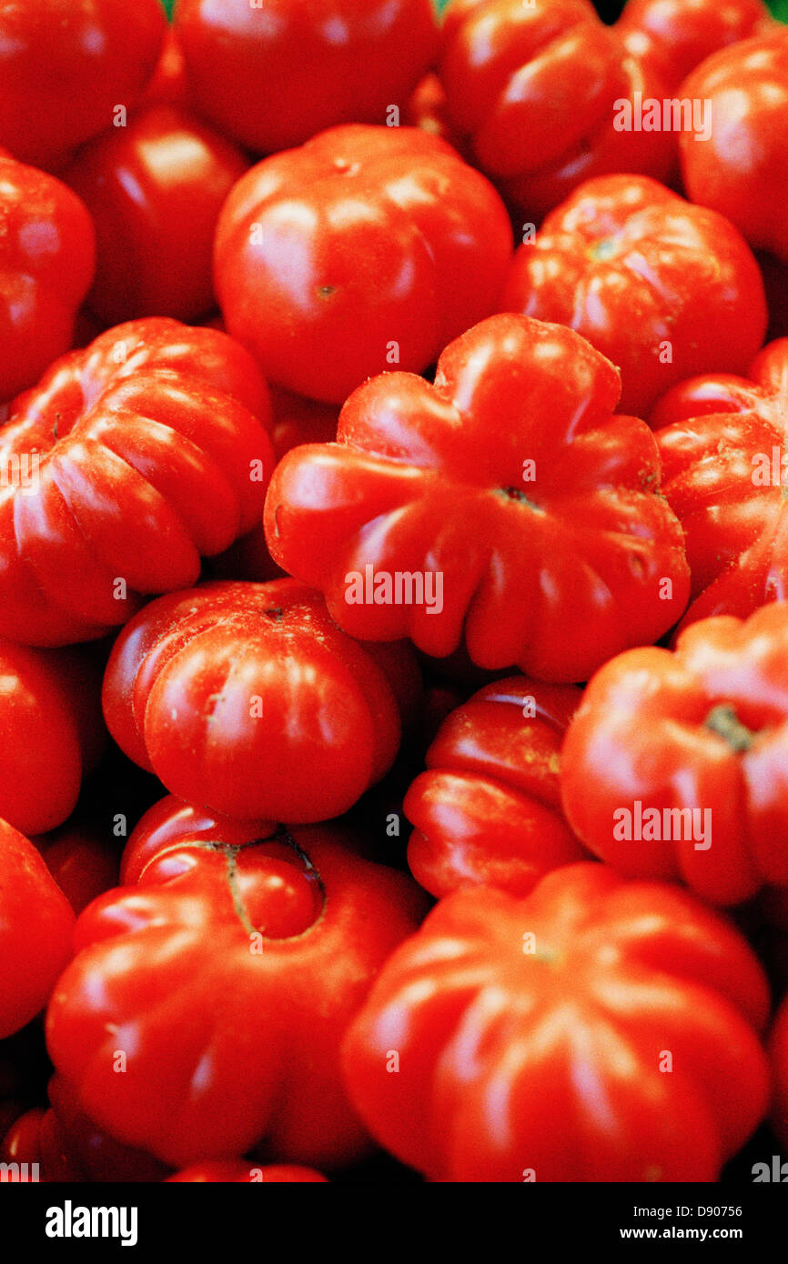Close-up of tomatoes Stock Photo - Alamy