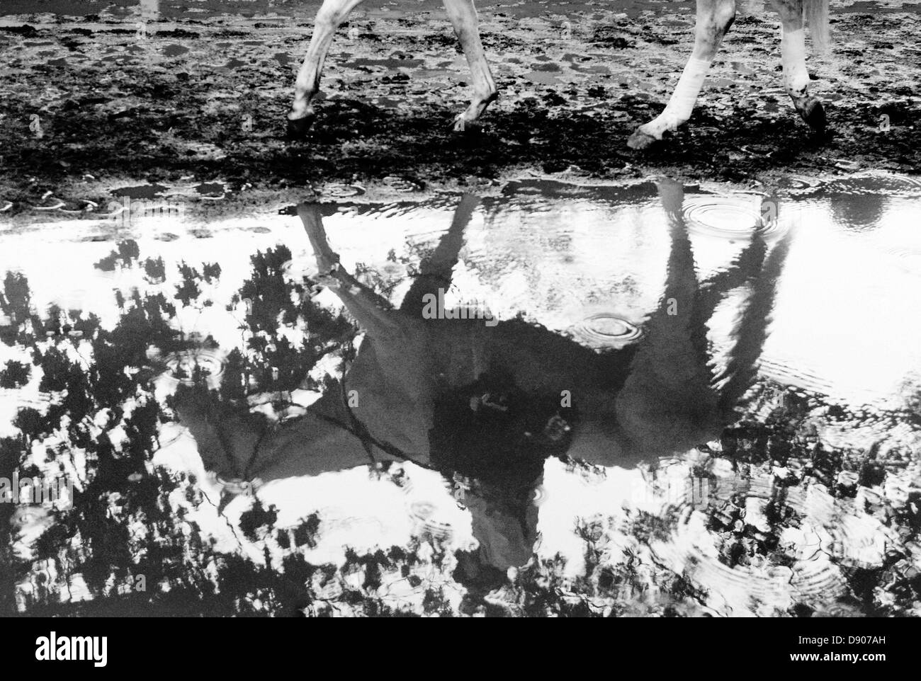 Tropical news Black and White Stock Photos & Images - Alamy