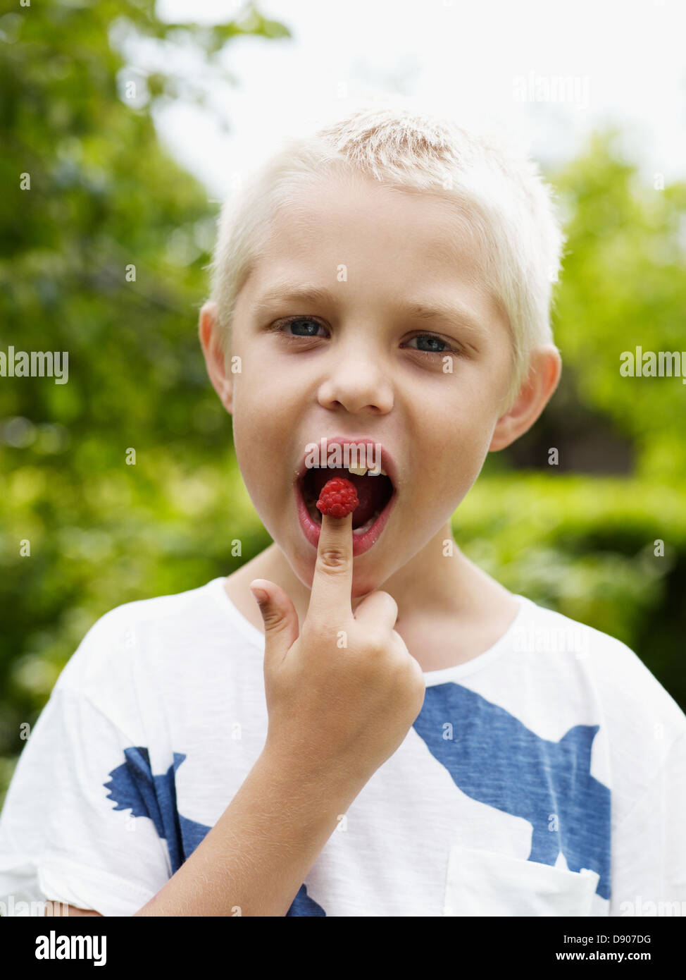 Portrait of boy eating raspberry Stock Photo - Alamy