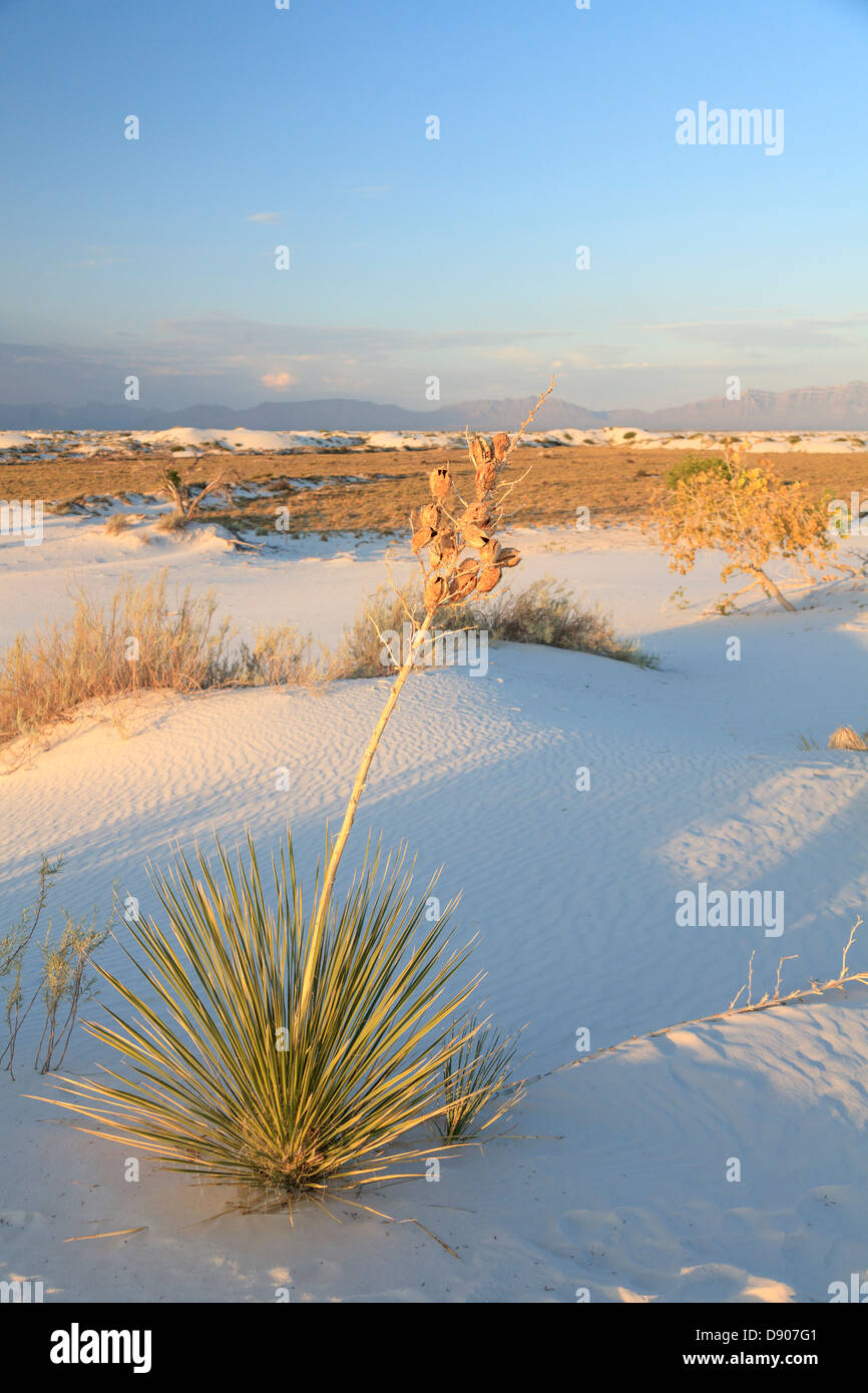 Mexico sands hi-res stock photography and images - Alamy