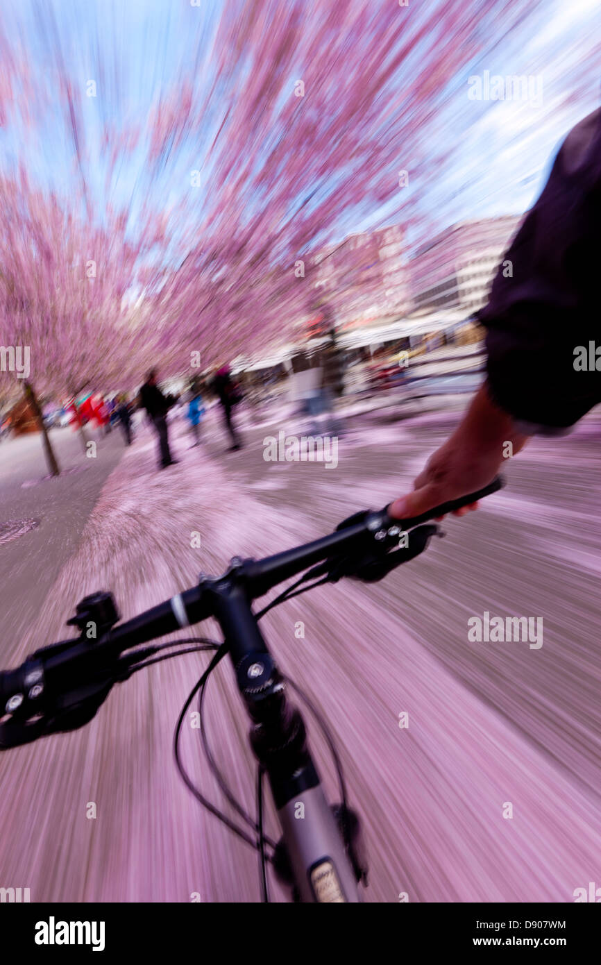 City above trees hi-res stock photography and images - Alamy