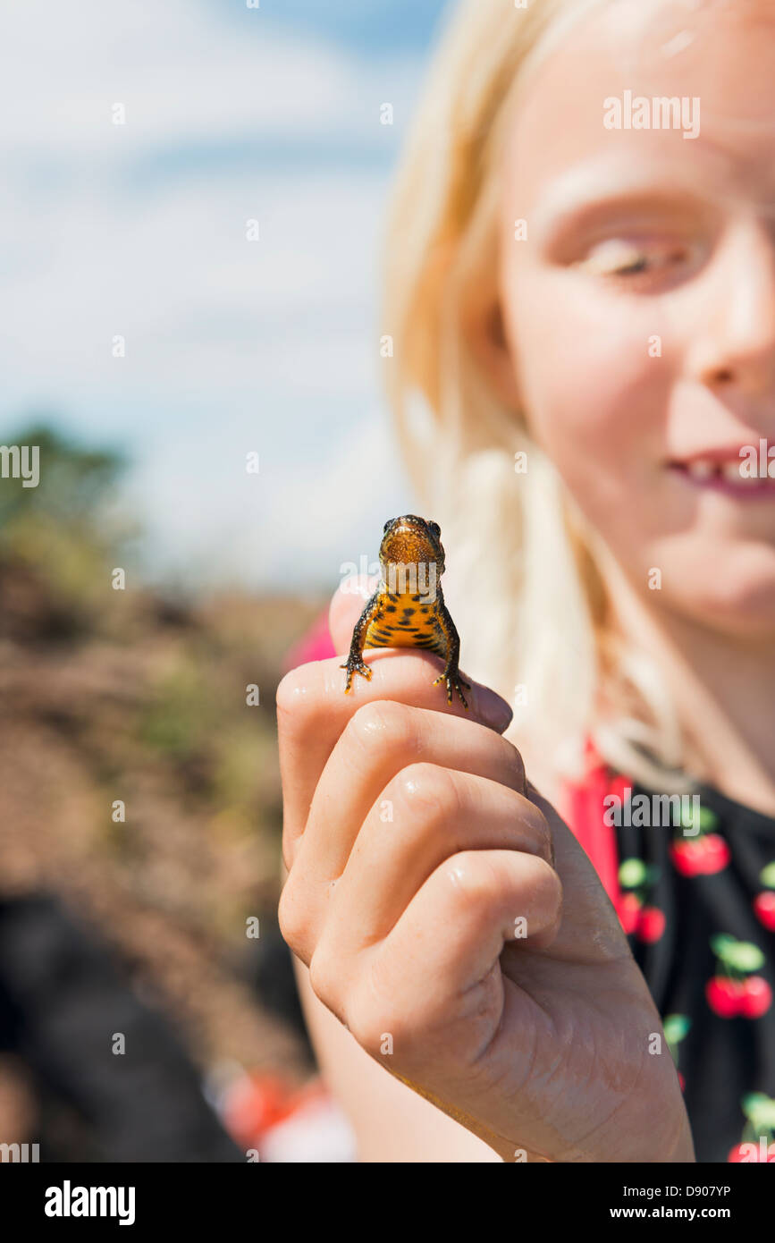 Lizard looking away hi-res stock photography and images - Alamy