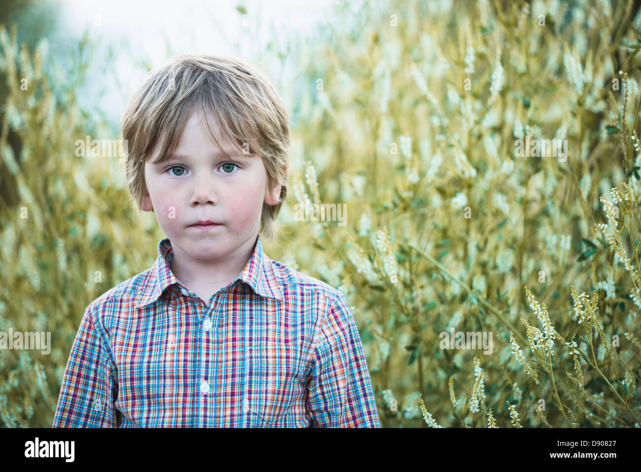 Portrait of boy Stock Photo - Alamy