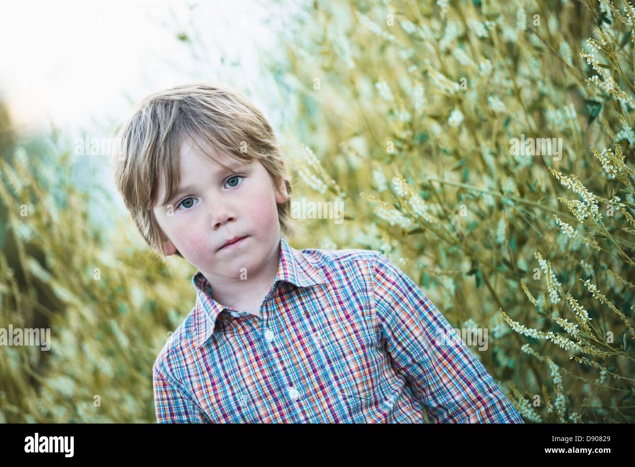 Portrait of boy Stock Photo - Alamy