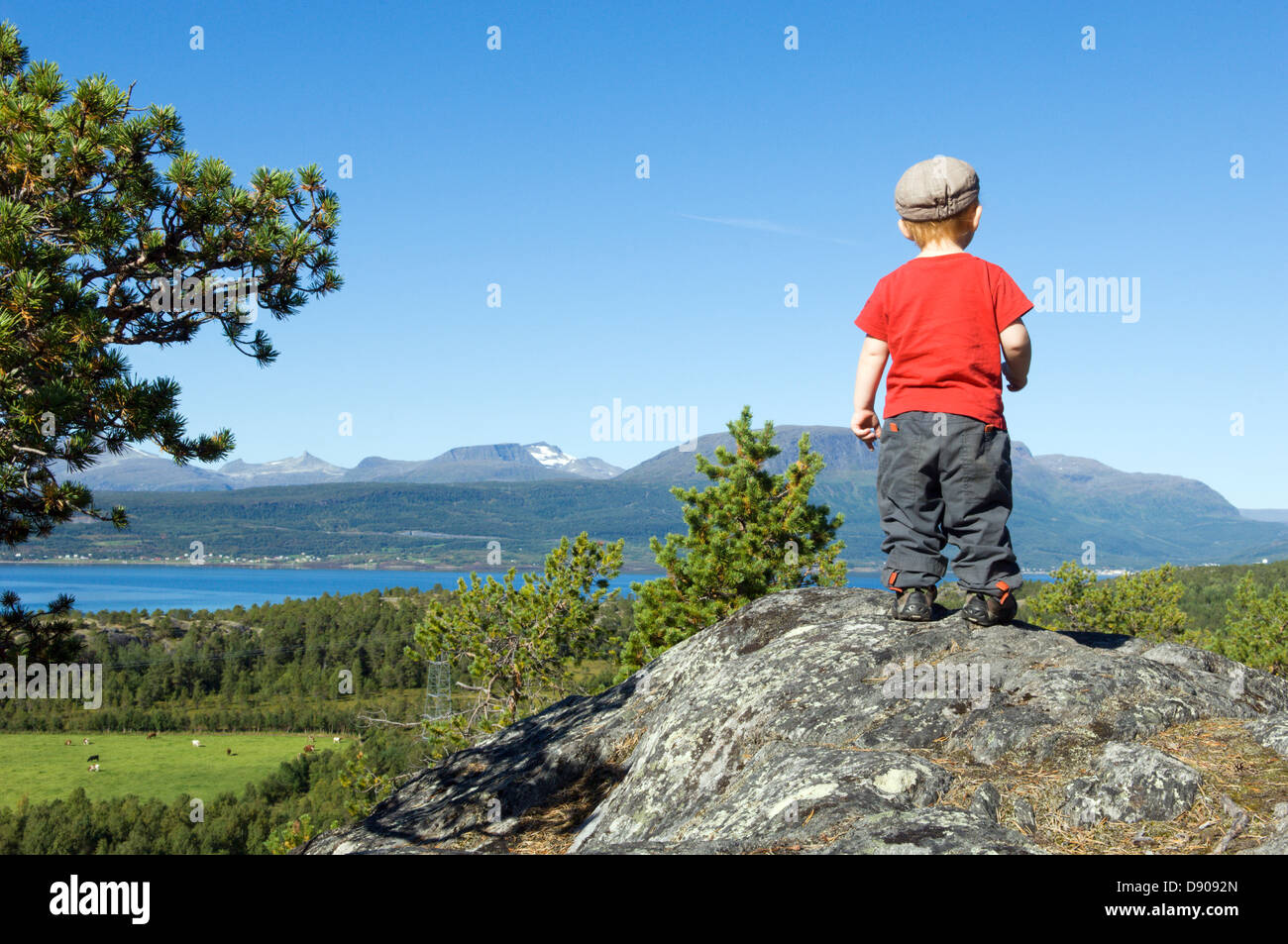 A little boy on a rock, Norway Stock Photo - Alamy