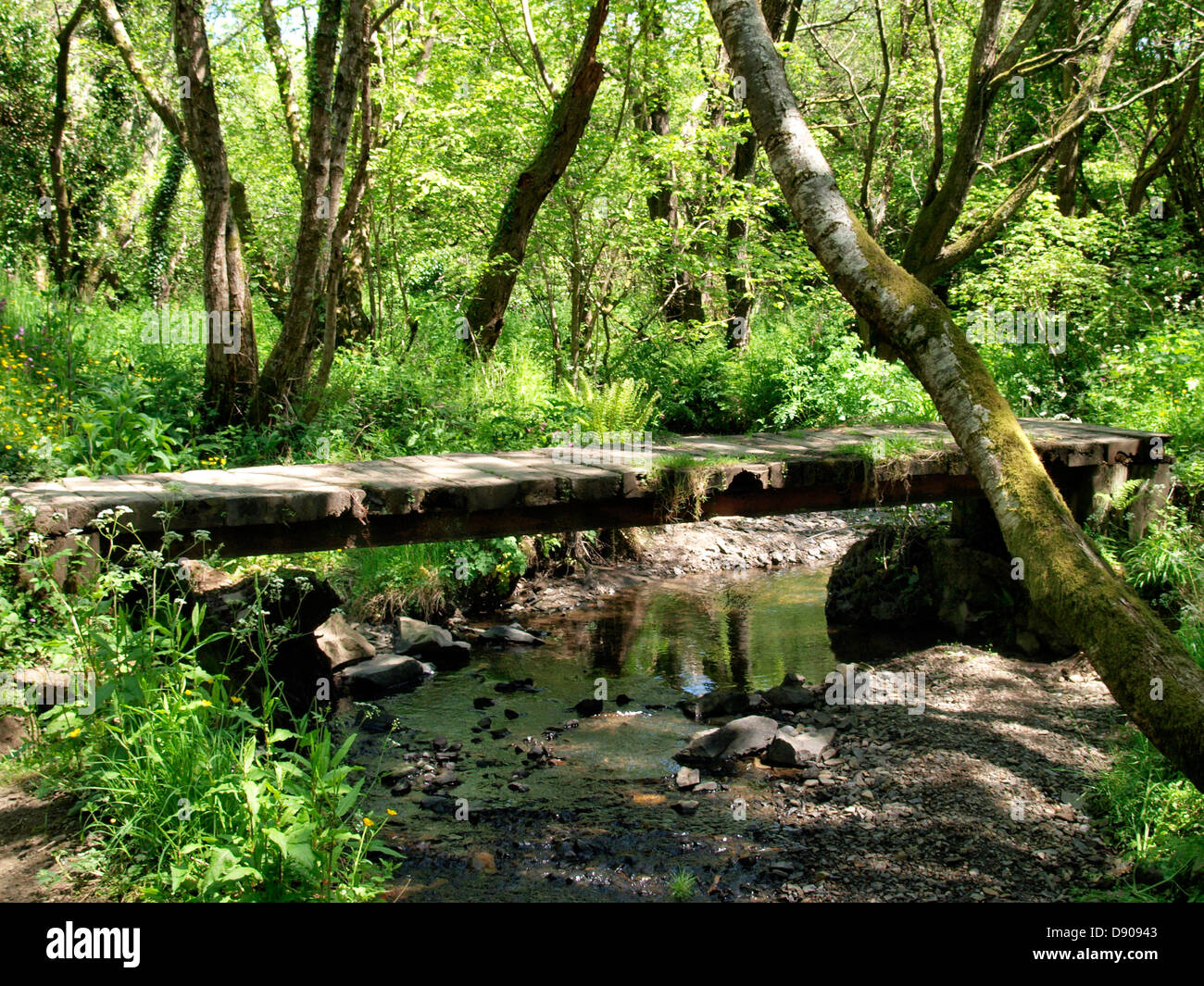 Wooden bridge crossing over hi-res stock photography and images - Alamy