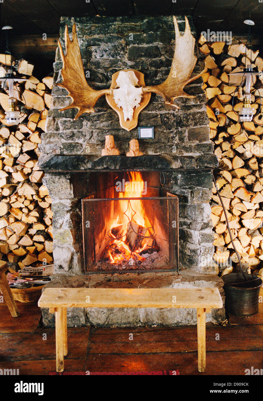 Pile of antlers hi-res stock photography and images - Alamy