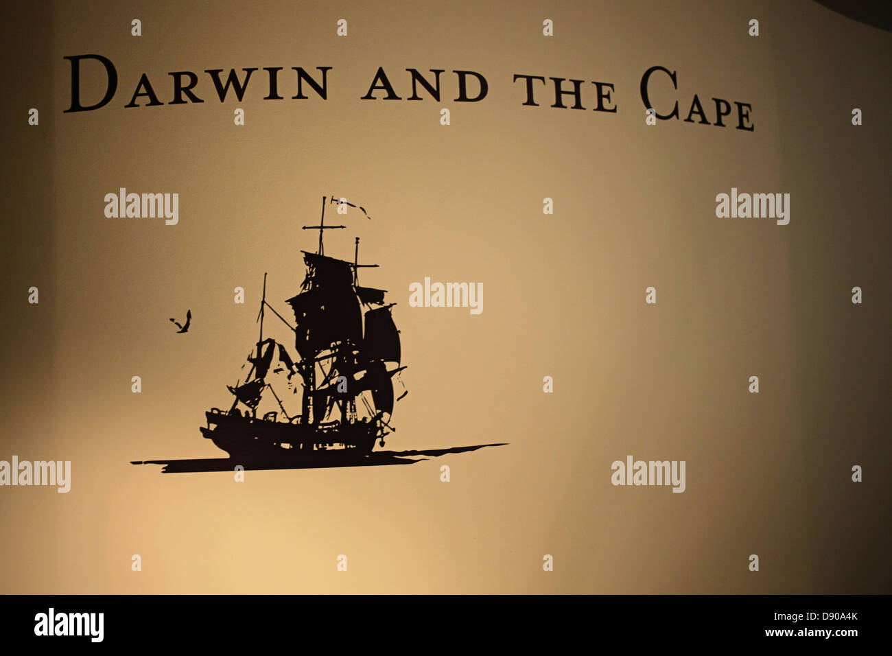 The iziko south african museum hi-res stock photography and images - Alamy