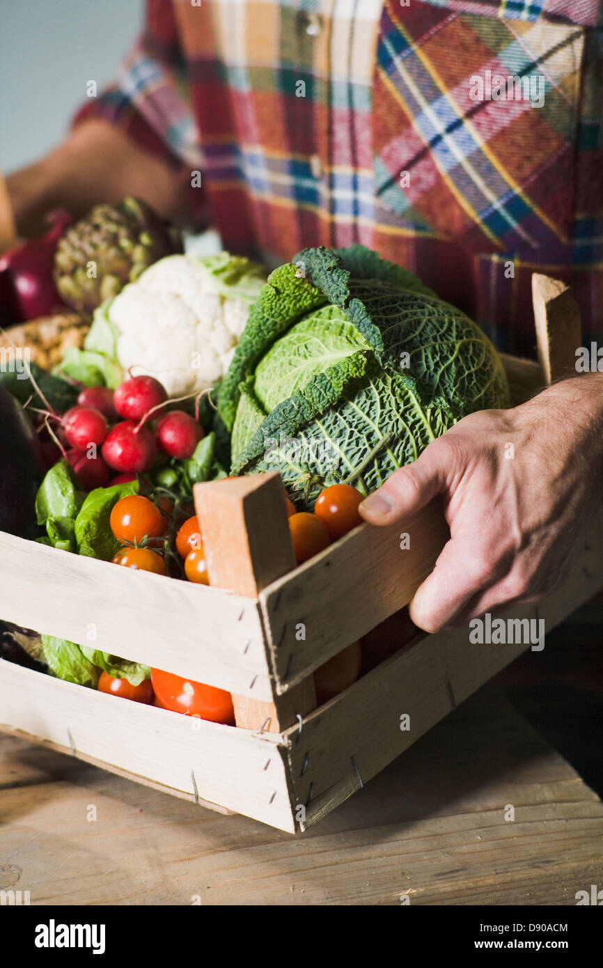 Man holding a box of vegetables Stock Photo - Alamy