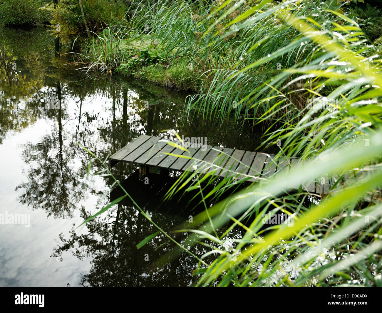 Green jetty hi-res stock photography and images - Alamy