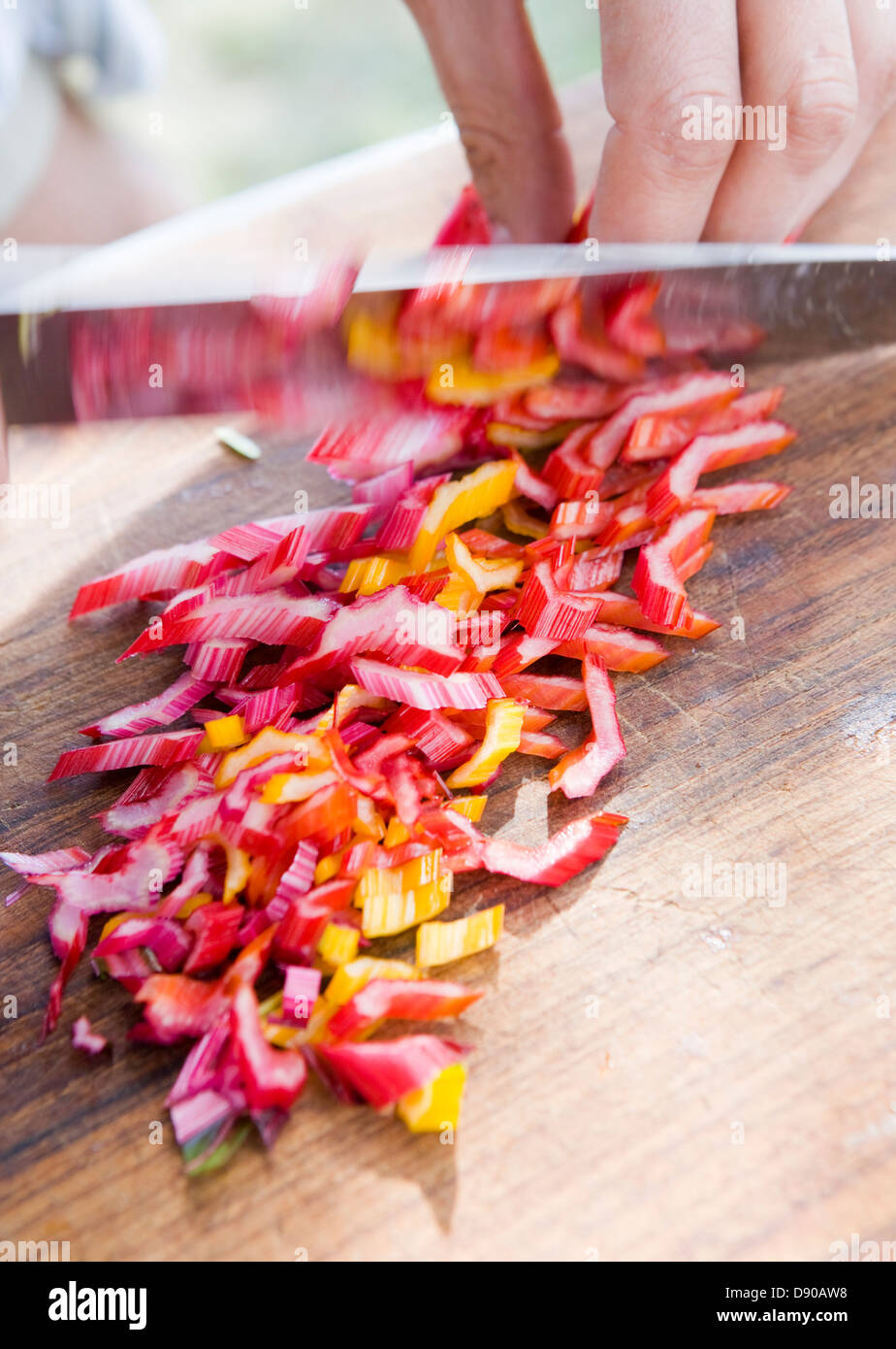 Whitebeet being cut, Sweden Stock Photo - Alamy