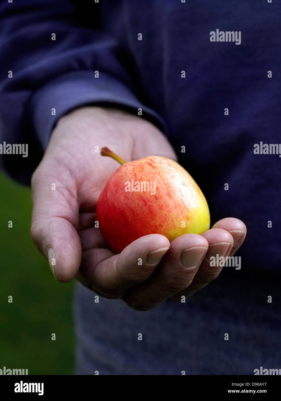 Apple in a hand hi-res stock photography and images - Alamy