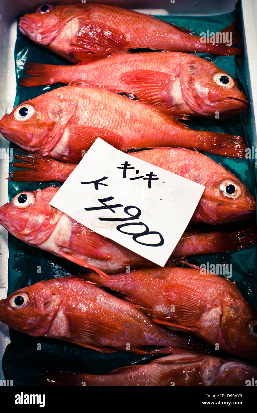 Red fish, close-up, Japan Stock Photo - Alamy