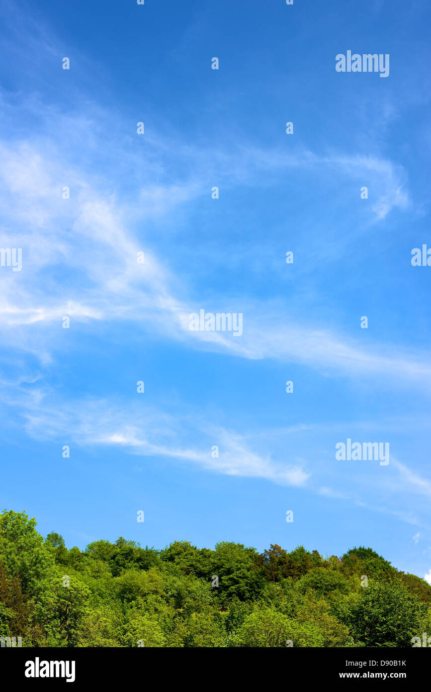 Cirrus "Mare's Tail" cloud in the blue sky above the North Downs in ...